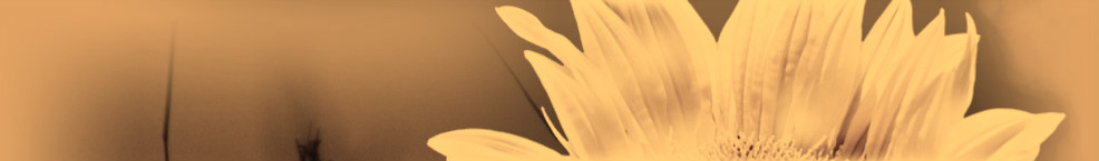 il gioco della Rana :: Usare la mente